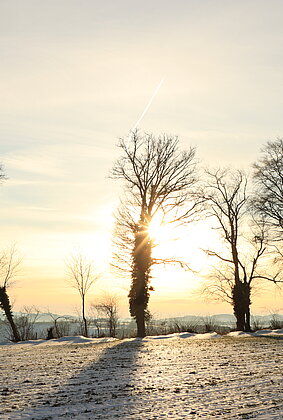 Tolle Aussicht - Willisauer Bote