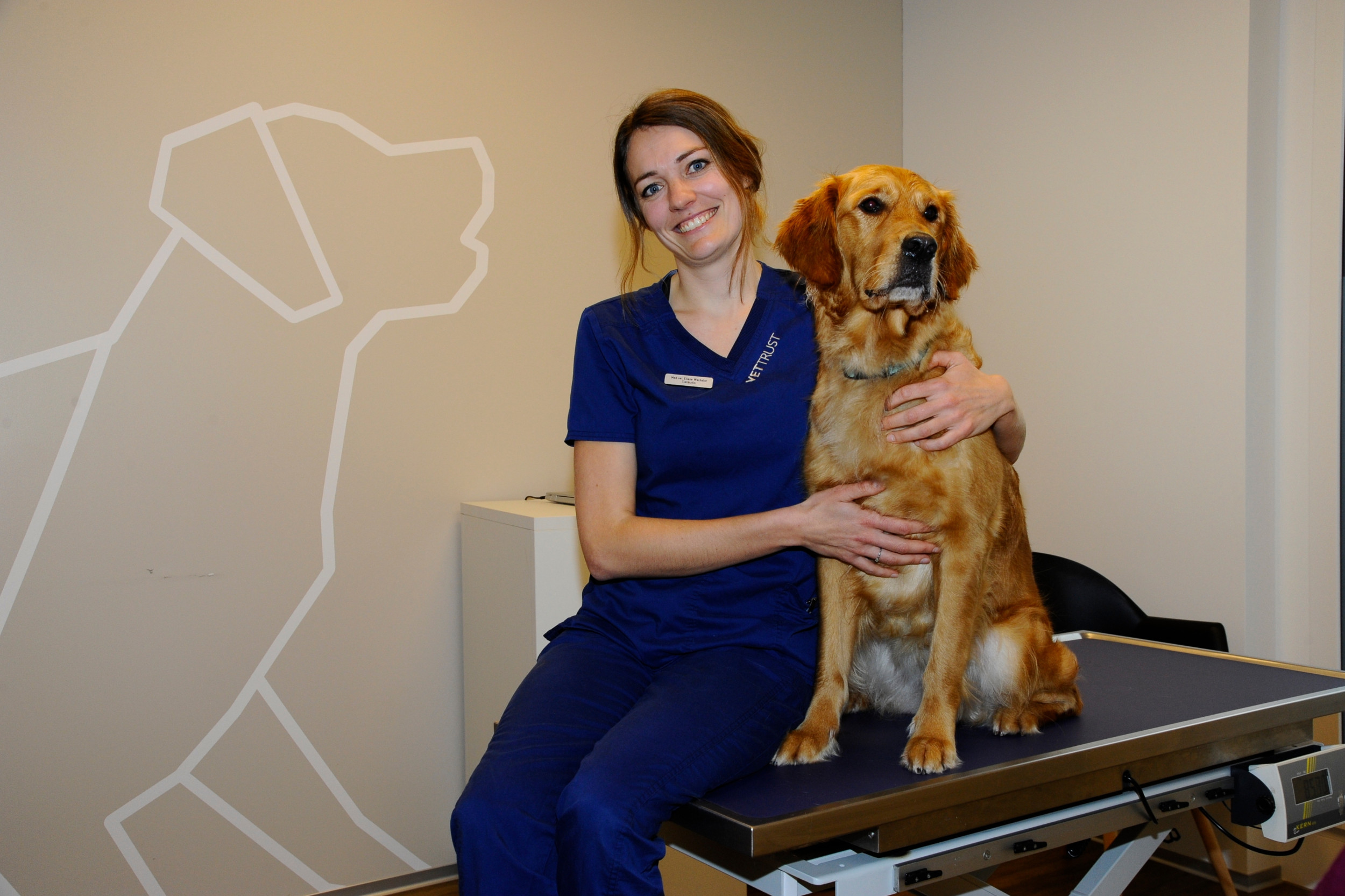 Tiergeburten als einprägsame Momente - Willisauer Bote