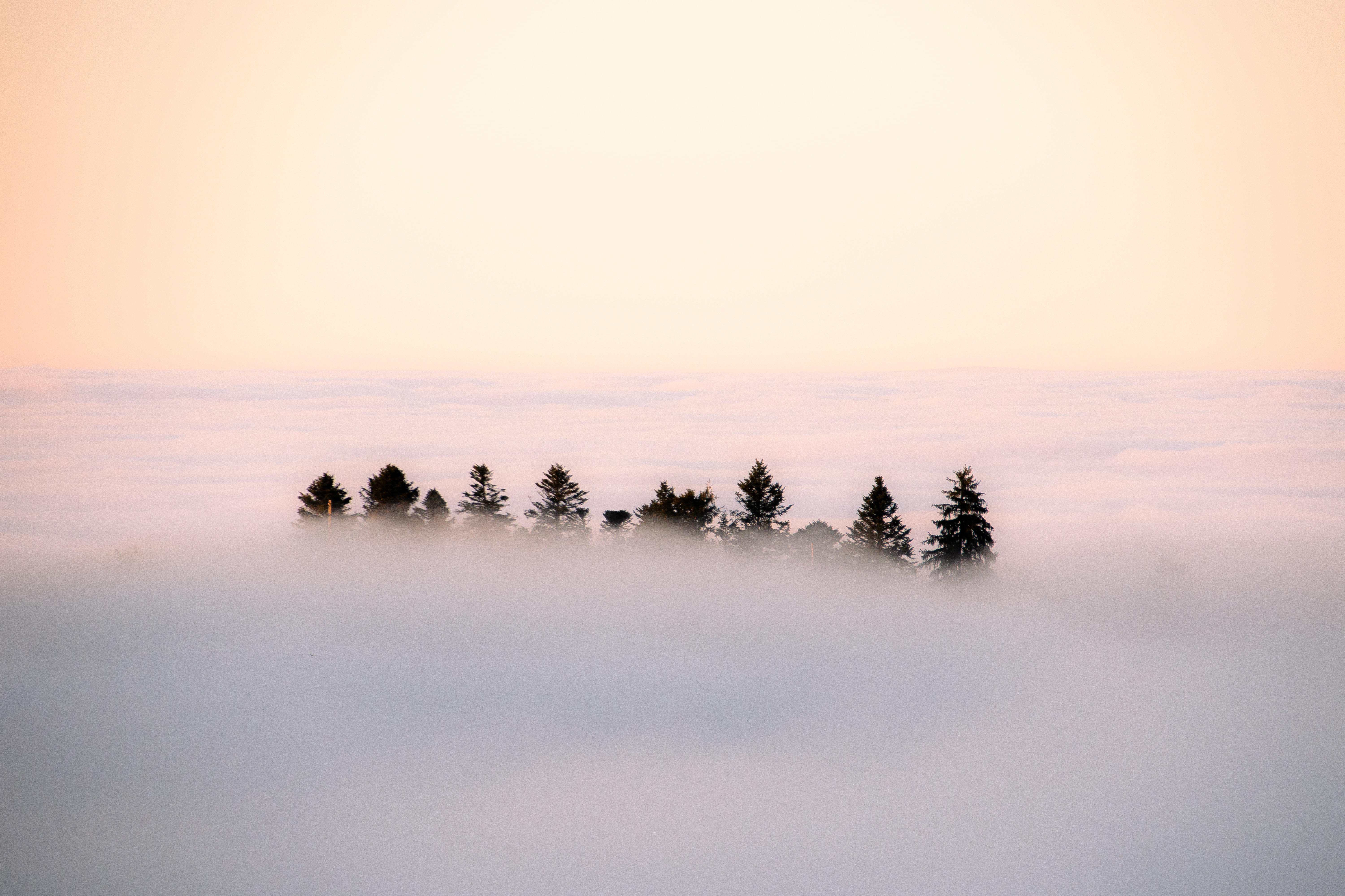 Der Monat November mit herrlichen Bildern eingeläutet. - Willisauer Bote