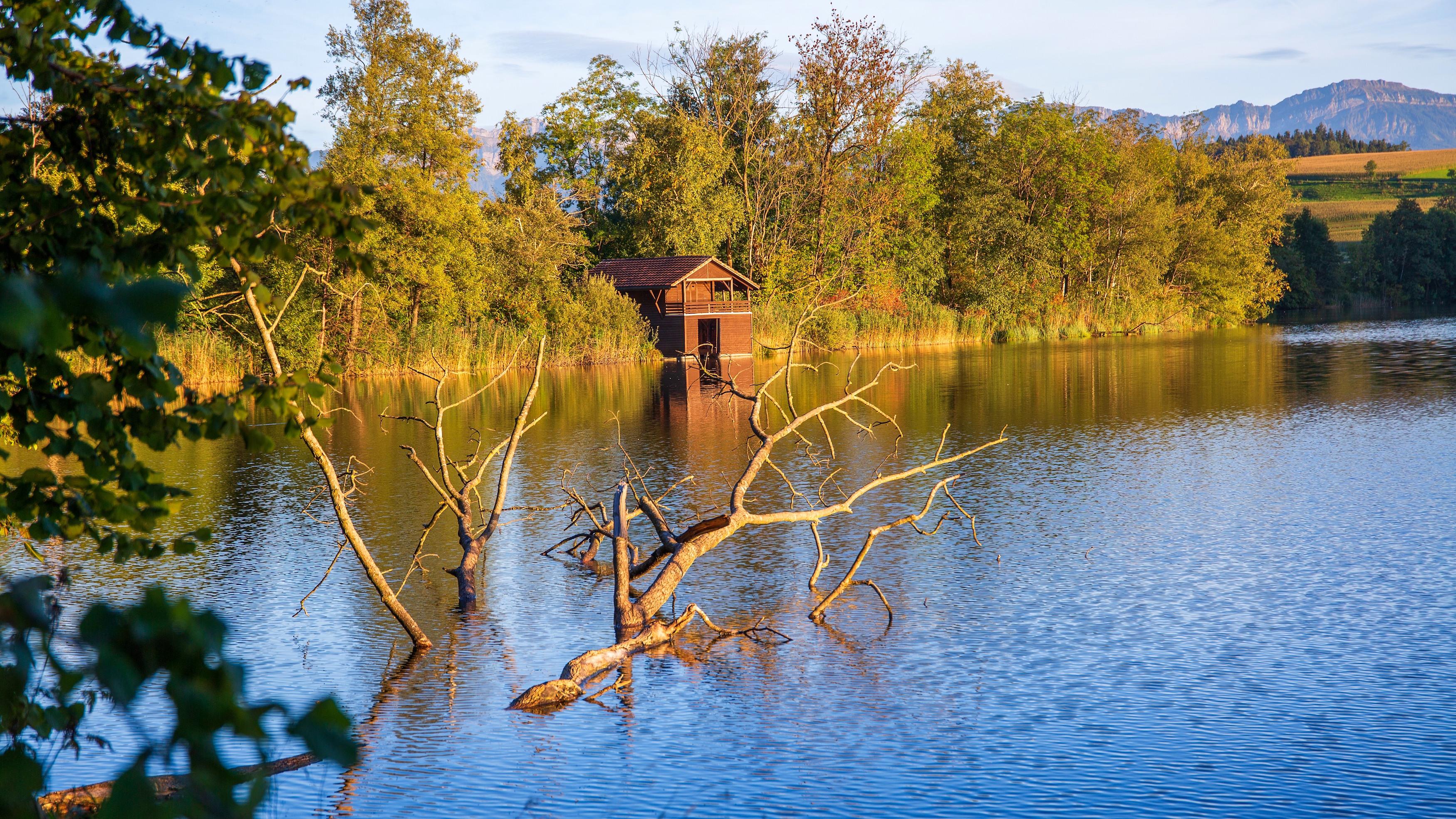 Stille legt sich über die Wasserfläche beim Soppensee - Willisauer Bote